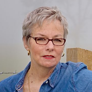 The Gateless Academy - Gateless Writing